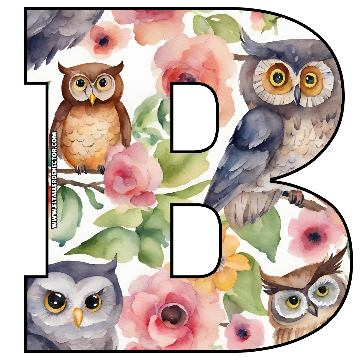 Letra B de Buhos - El Taller de Hector