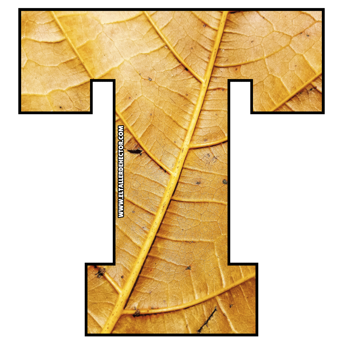 Letra T de Hoja Seca - El Taller de Hector