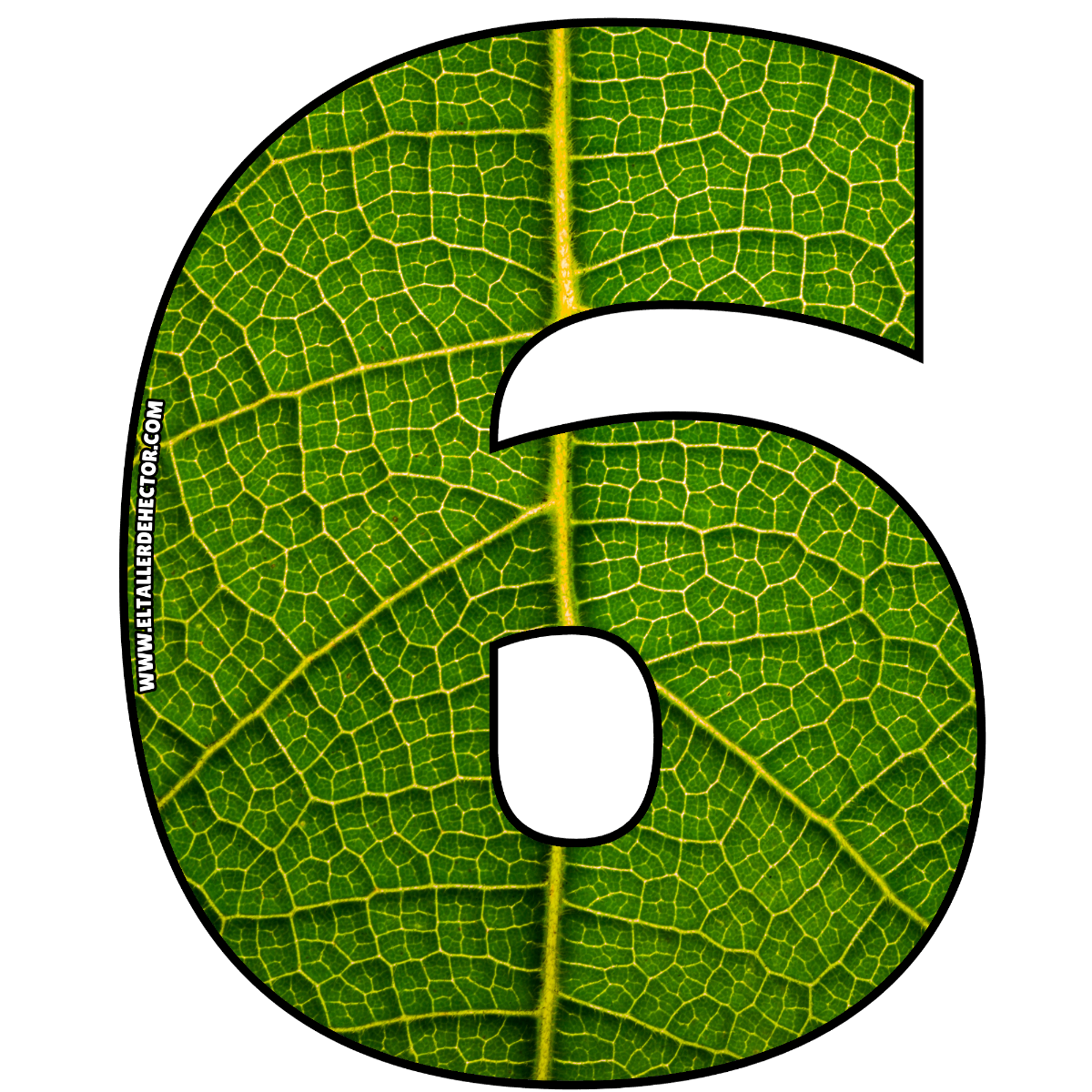 Numero 6 de Hoja Verde - El Taller de Hector
