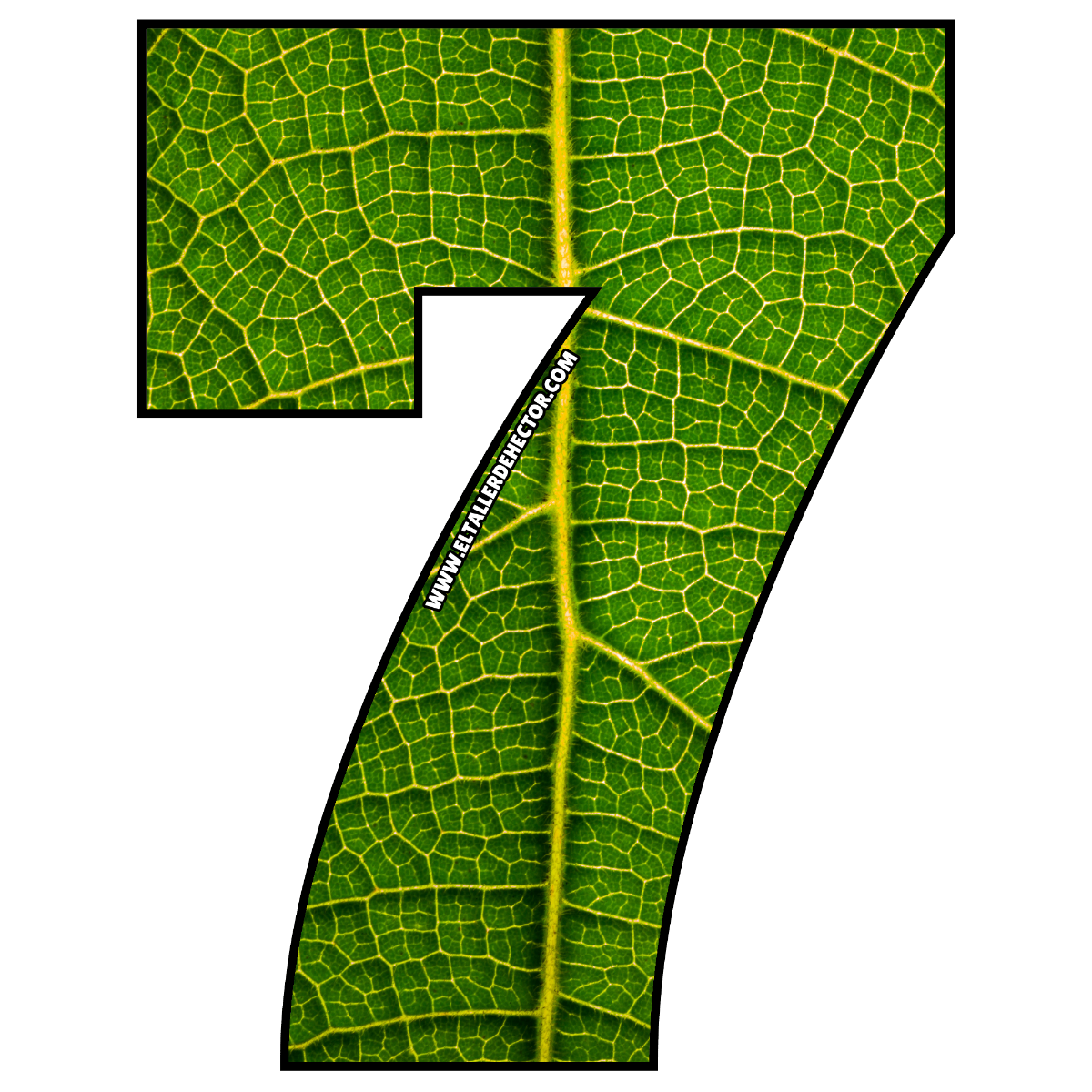 Numero 7 de Hoja Verde - El Taller de Hector