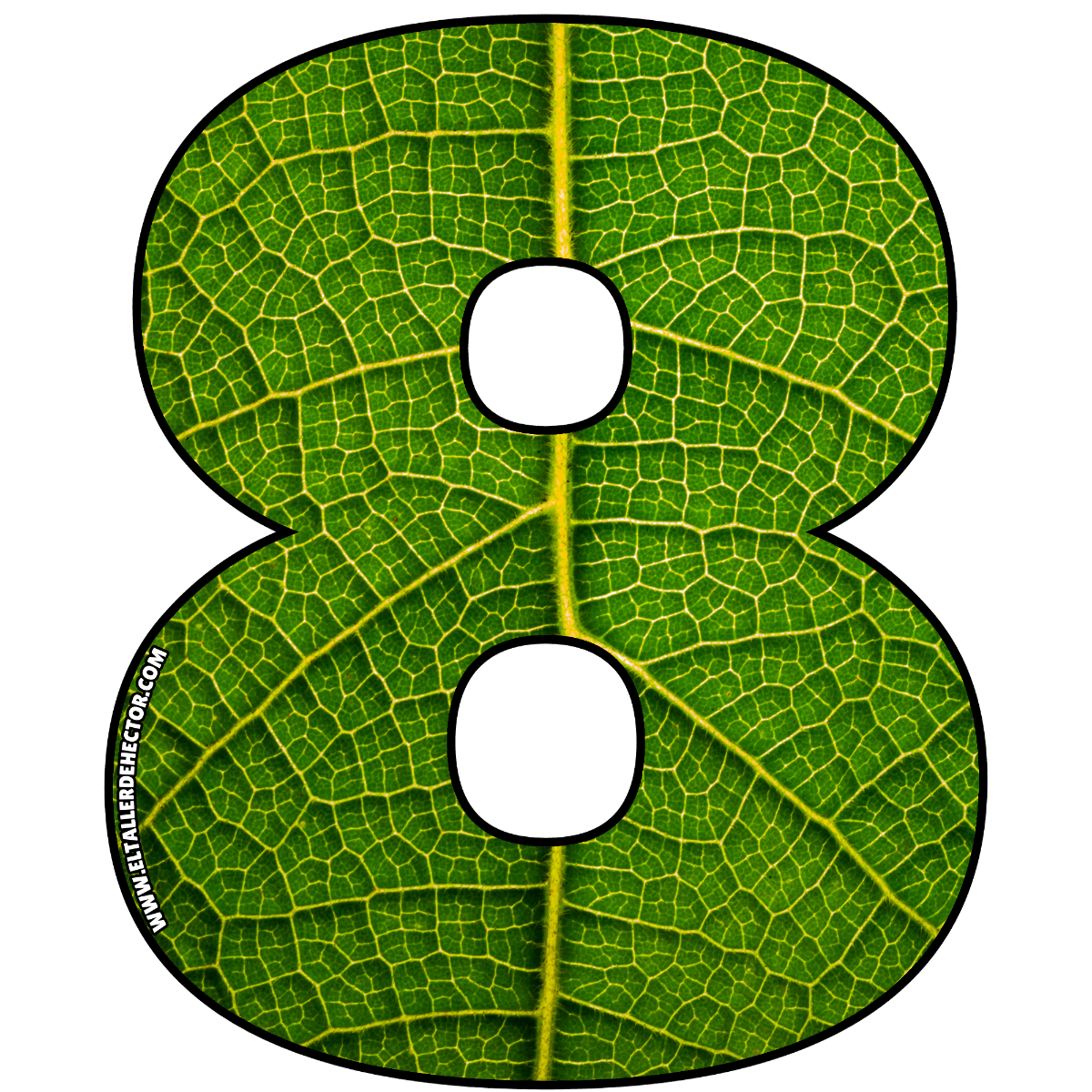 Numero 8 de Hoja Verde - El Taller de Hector