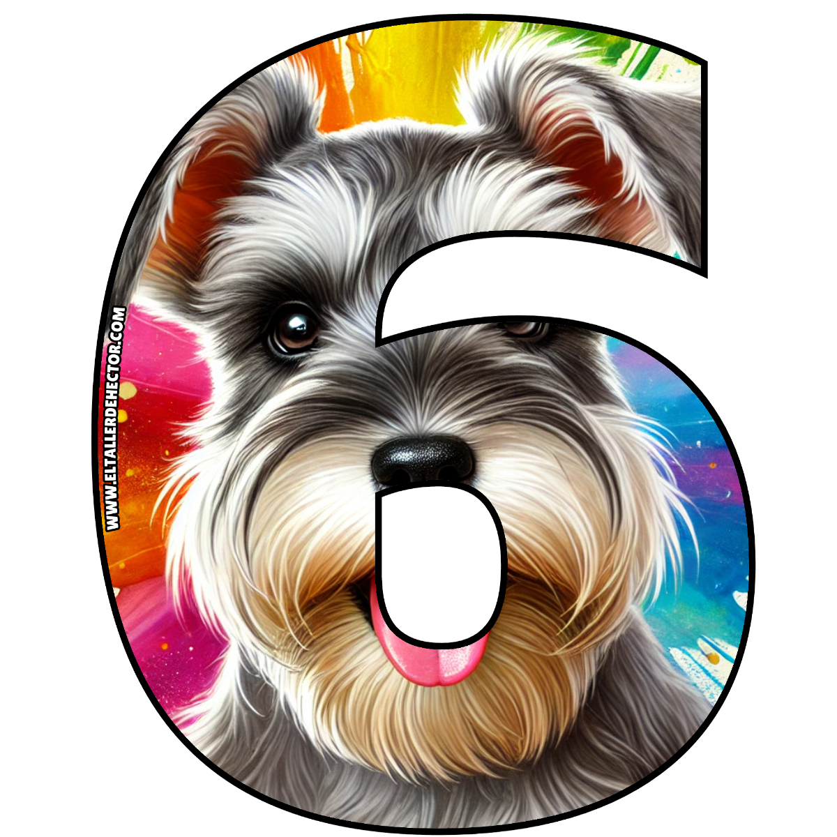 Numero 6 de Perro Schnauzer puppy - El Taller de Hector